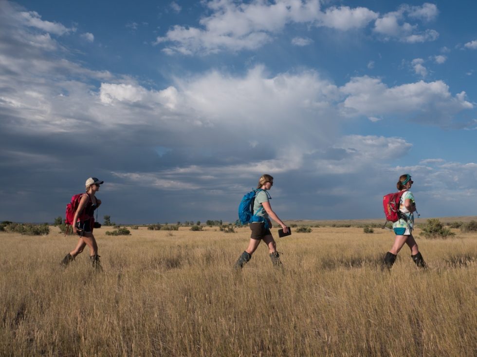 Our Volunteers - Adventure Scientists