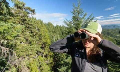 Reforestation: Western U.S. - Adventure Scientists