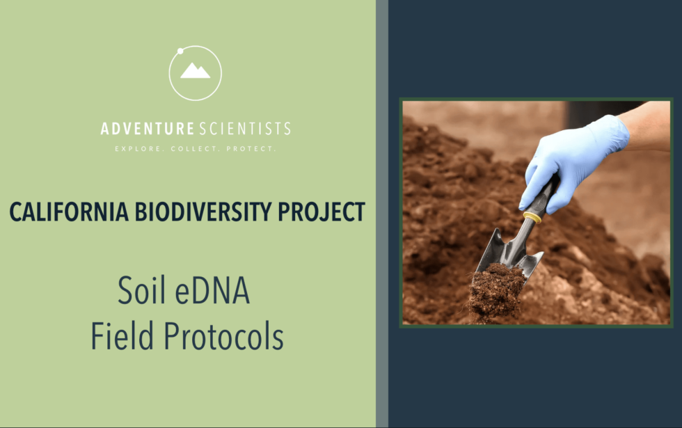 California Biodiversity Volunteer Homepage