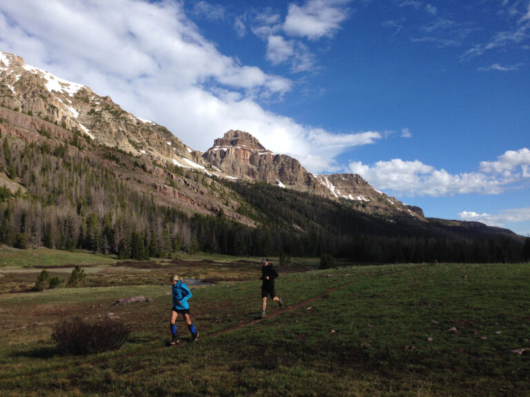 California Biodiversity - Adventure Scientists